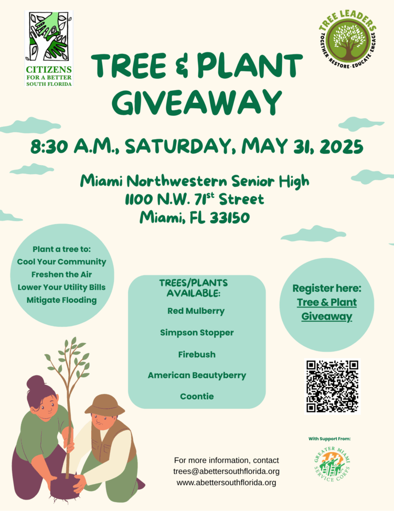 Tree Giveaway & Mulching – Citizens For A Better South Florida